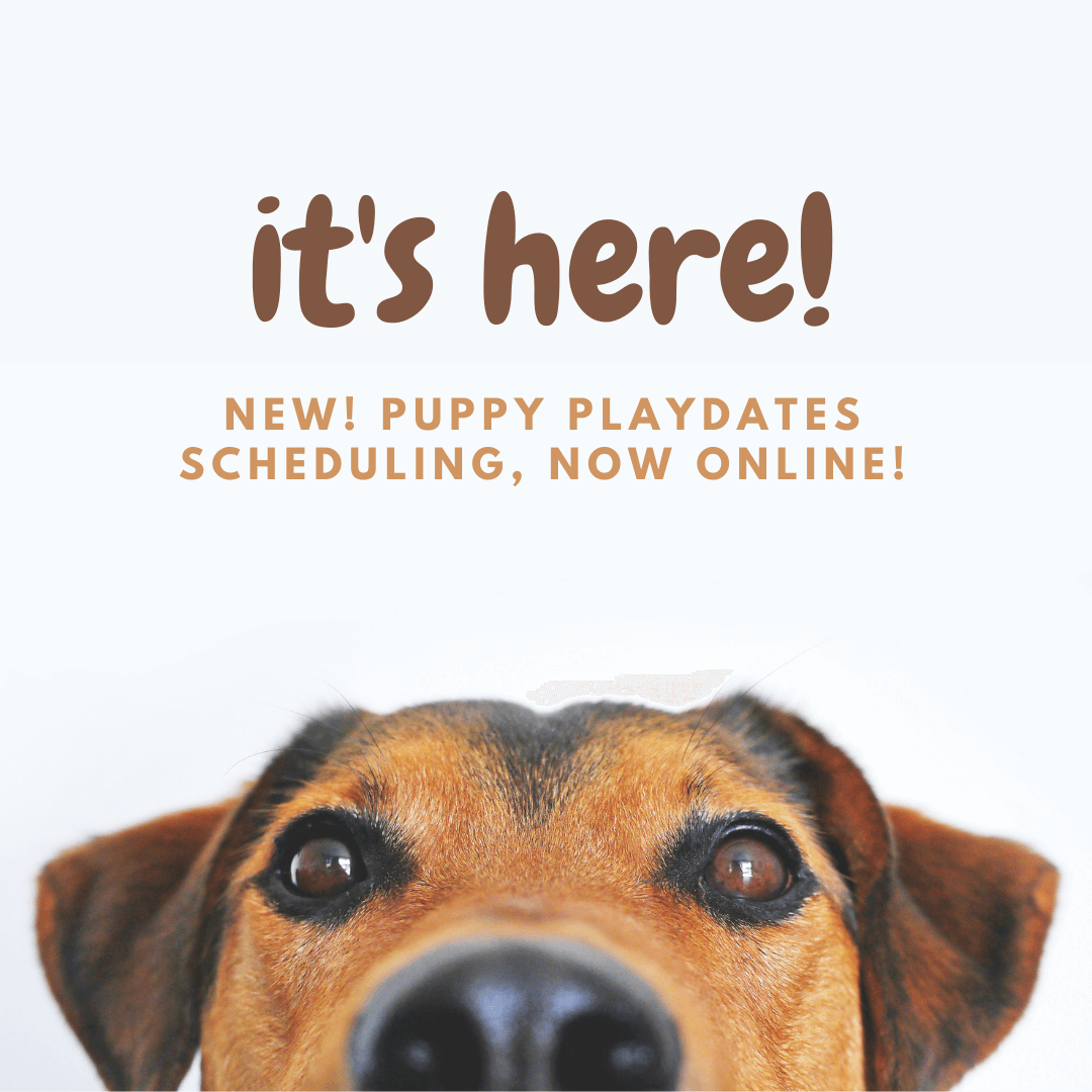 7 Ideas for Announcing Your New/Redesigned Website in 2022