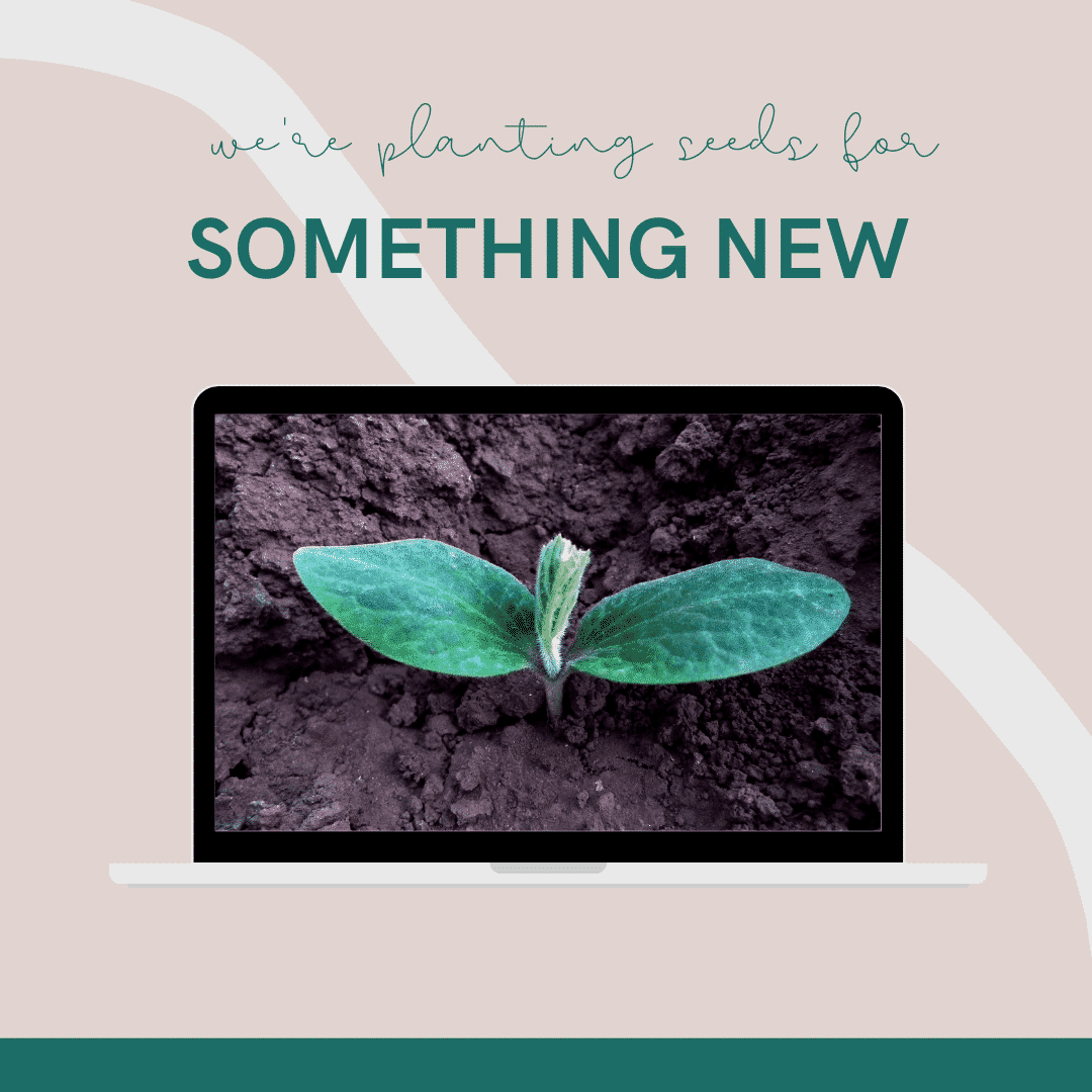 7 Ideas for Announcing Your New/Redesigned Website in 2022